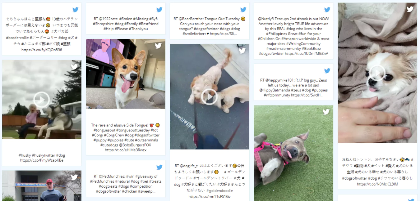 Tagembed vs. Taggbox: Features and Pricing Comparison